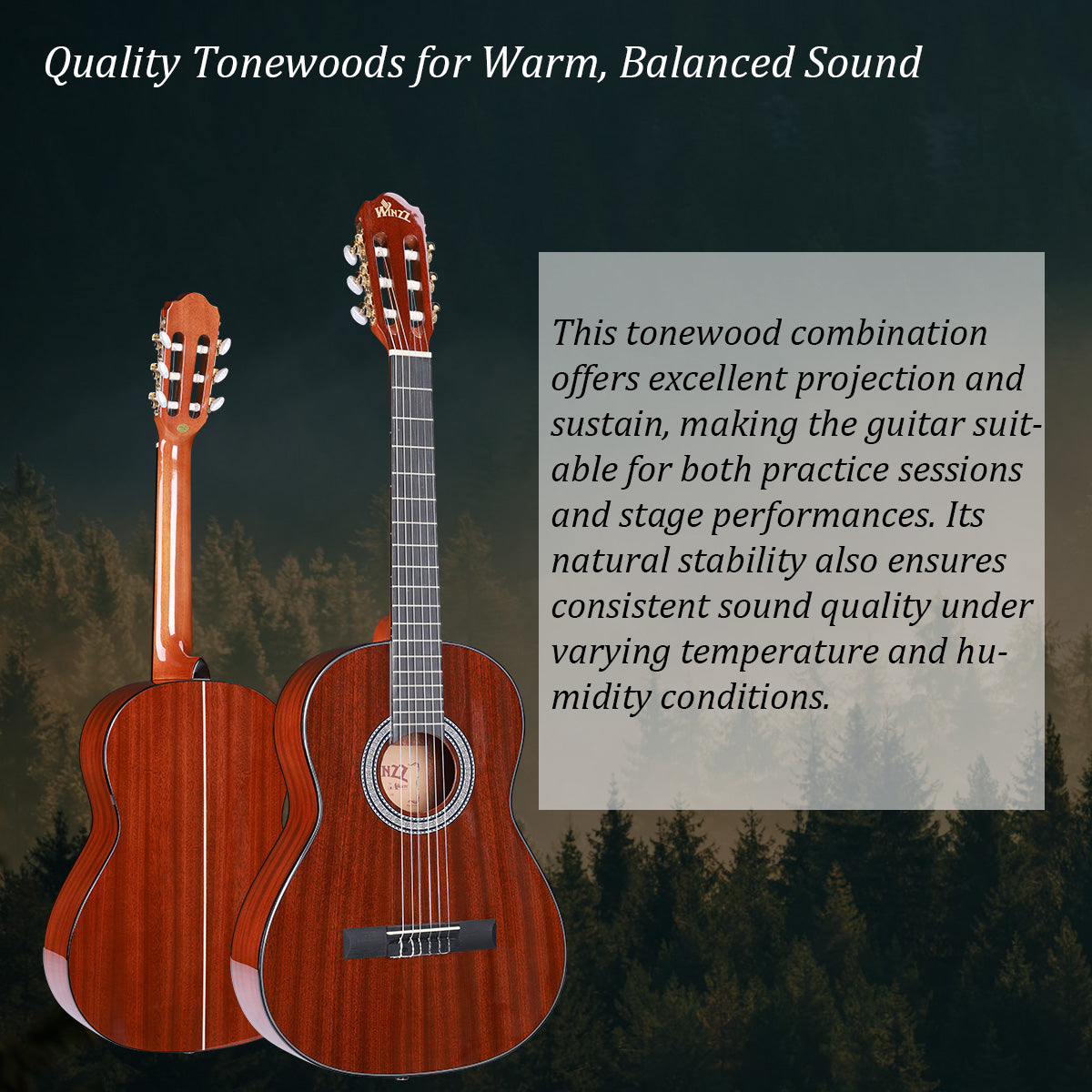 WINZZ AC309 36-Inch Sapele General Grade Classical Guitar – Alldaysmusic